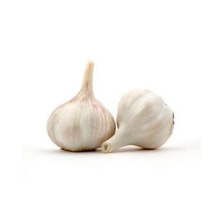 FRESH GARLIC PER KG - Restaurant Wholesale