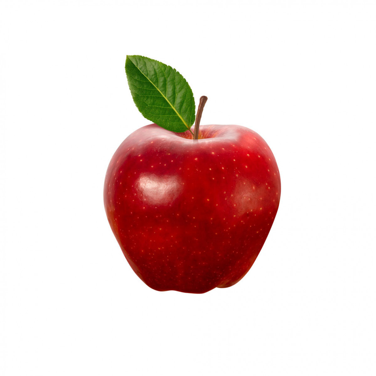 FRESH RED APPLE KG - Restaurant Wholesale